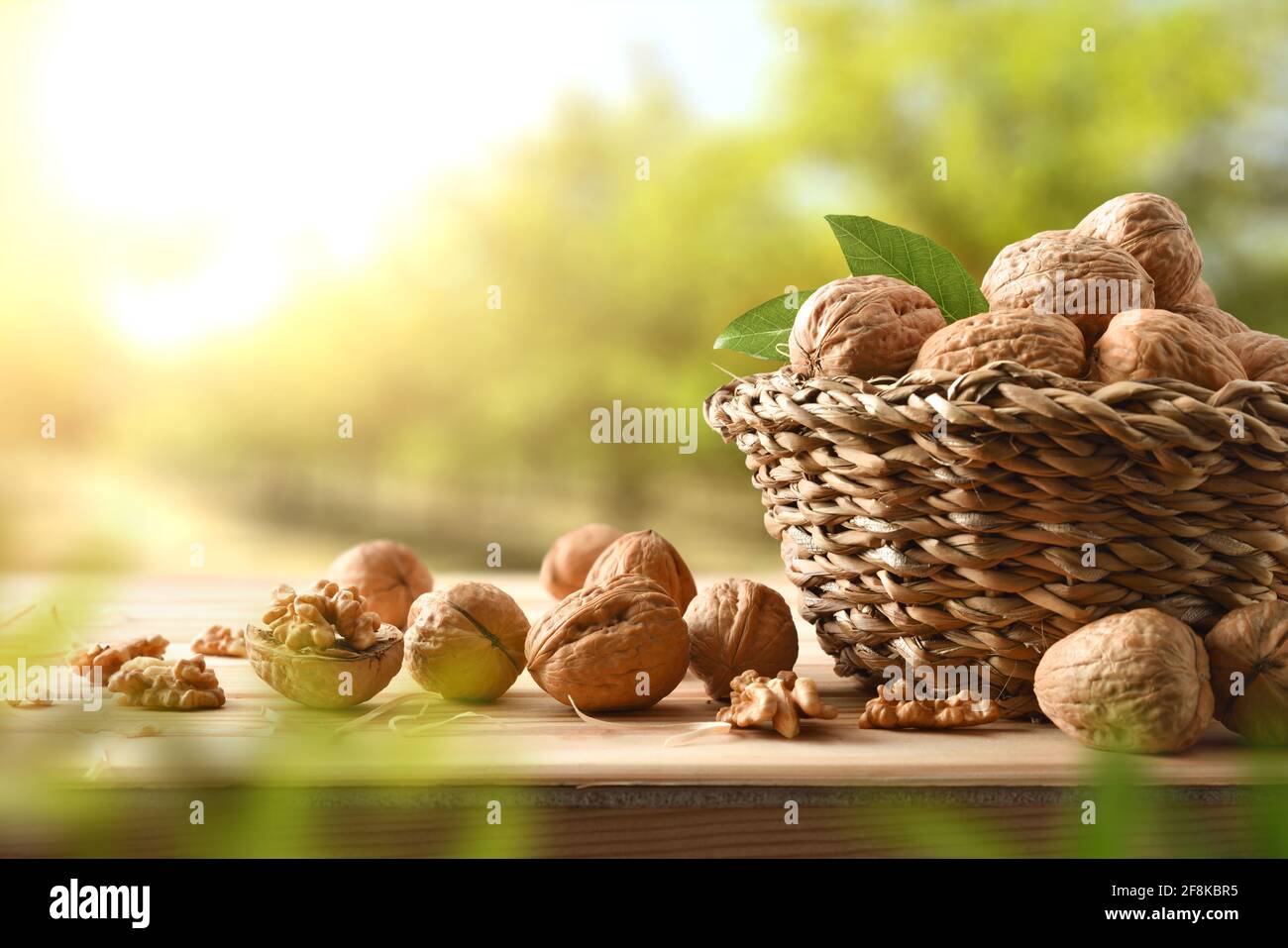 Walnut field hi-res stock photography and images - Alamy