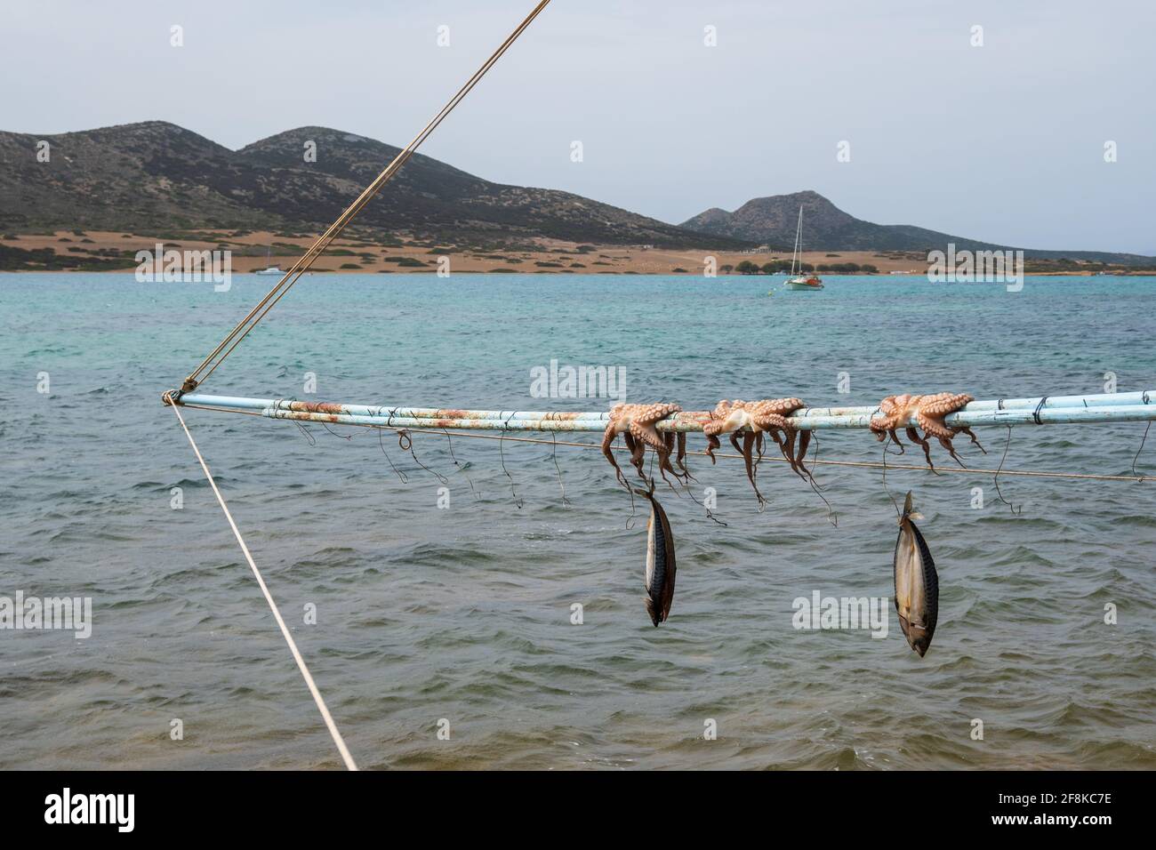Drying fish and octopus by the Aegean Sea. Antiparos Island, Cyclades ...