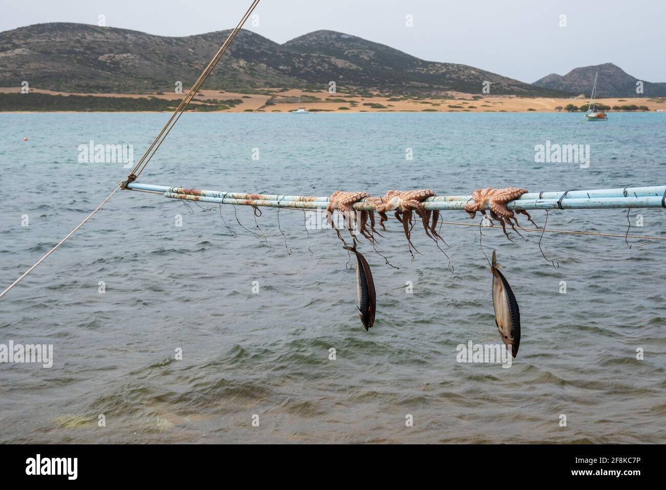Drying fish and octopus by the Aegean Sea. Antiparos Island, Cyclades ...