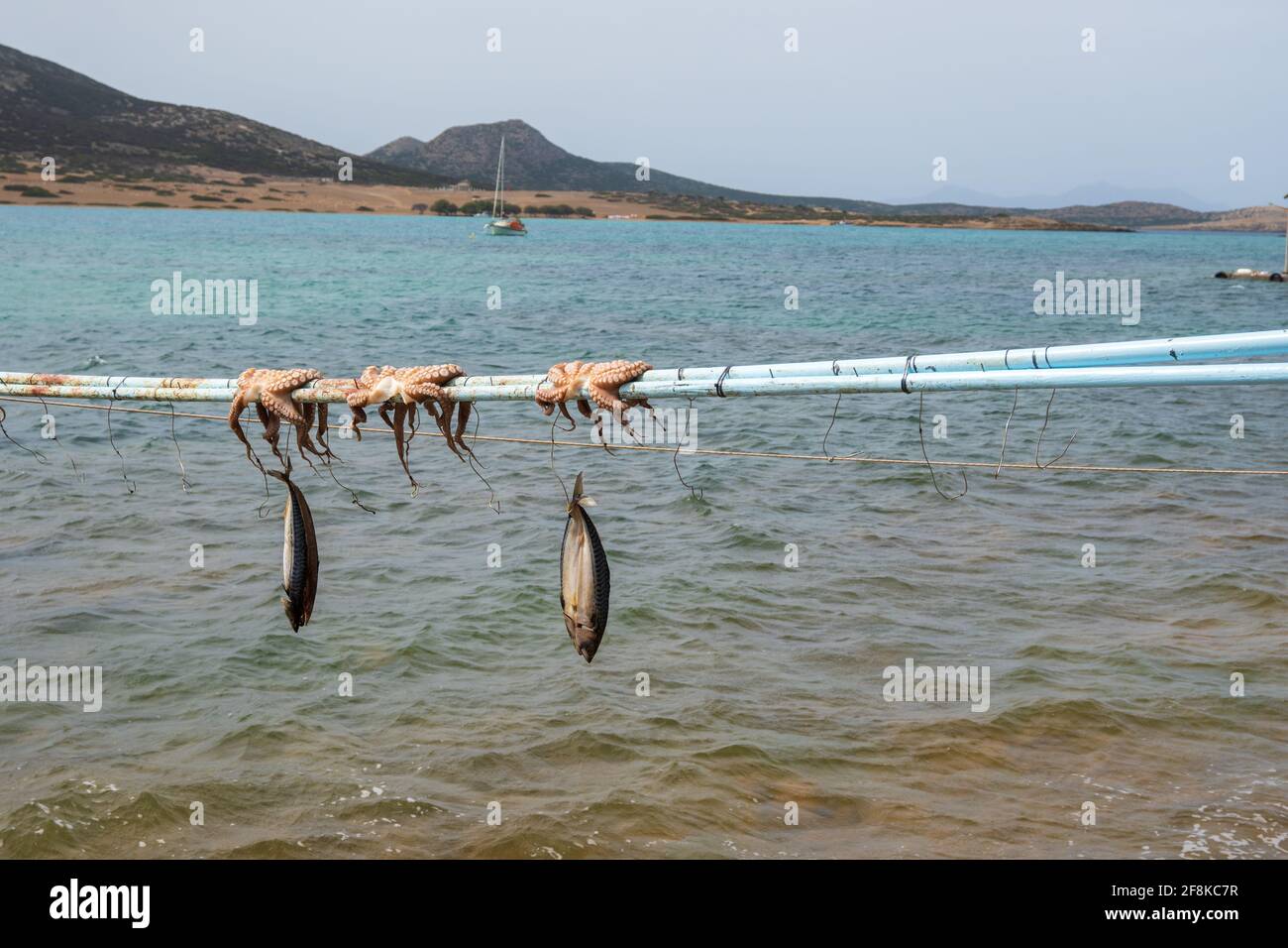 Drying fish and octopus by the Aegean Sea. Antiparos Island, Cyclades ...
