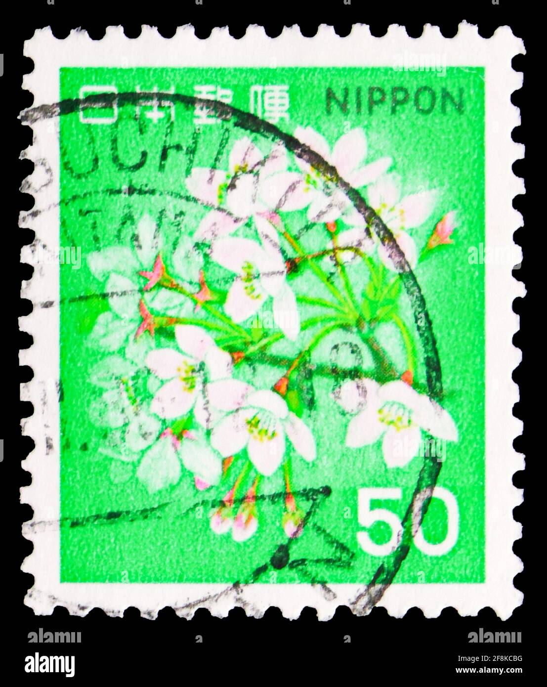 Flora and cultural heritage series hi-res stock photography and images ...