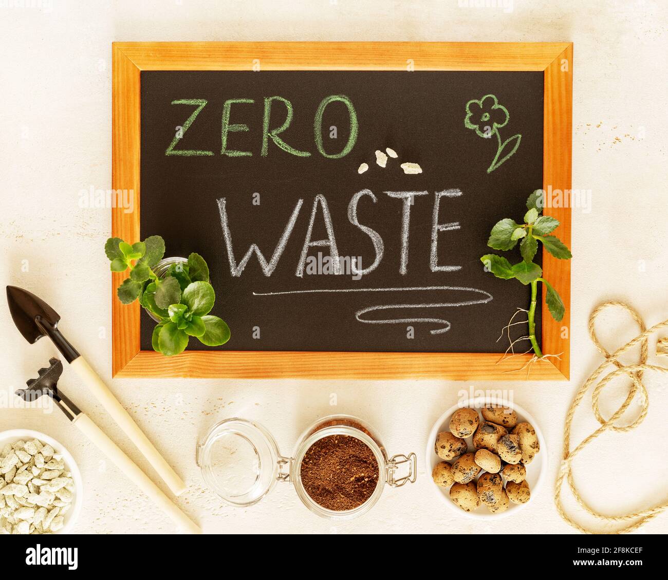 Zero cactus hi-res stock photography and images - Alamy