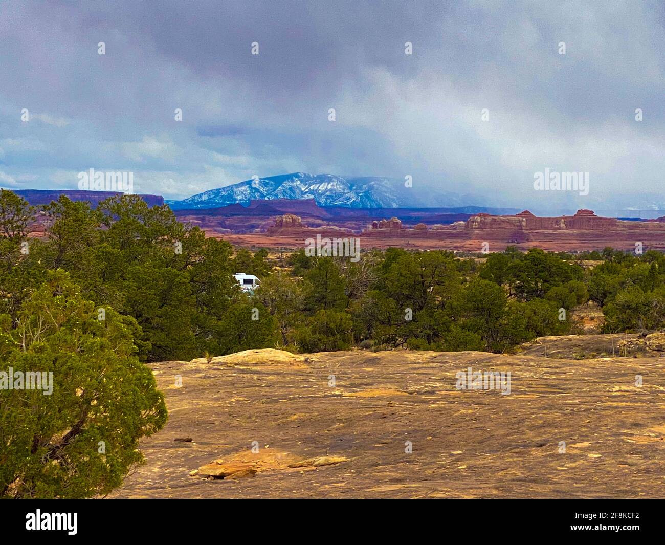 Yellow rocky desert with trees in the background of rocks and a ...
