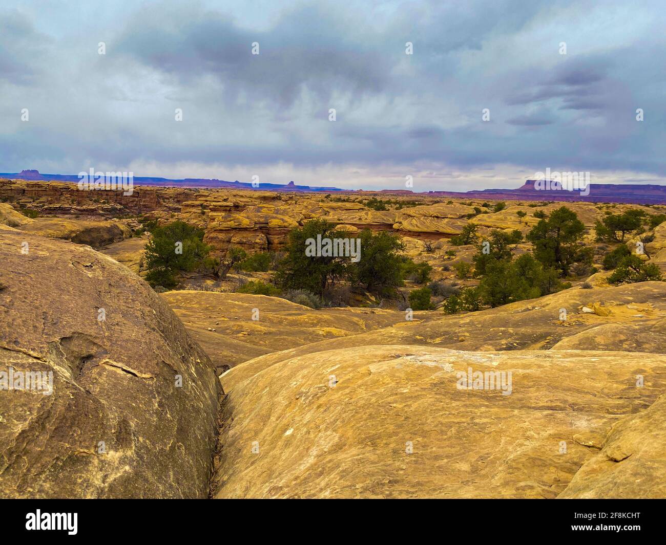 Desert yellow soil big hi-res stock photography and images - Alamy