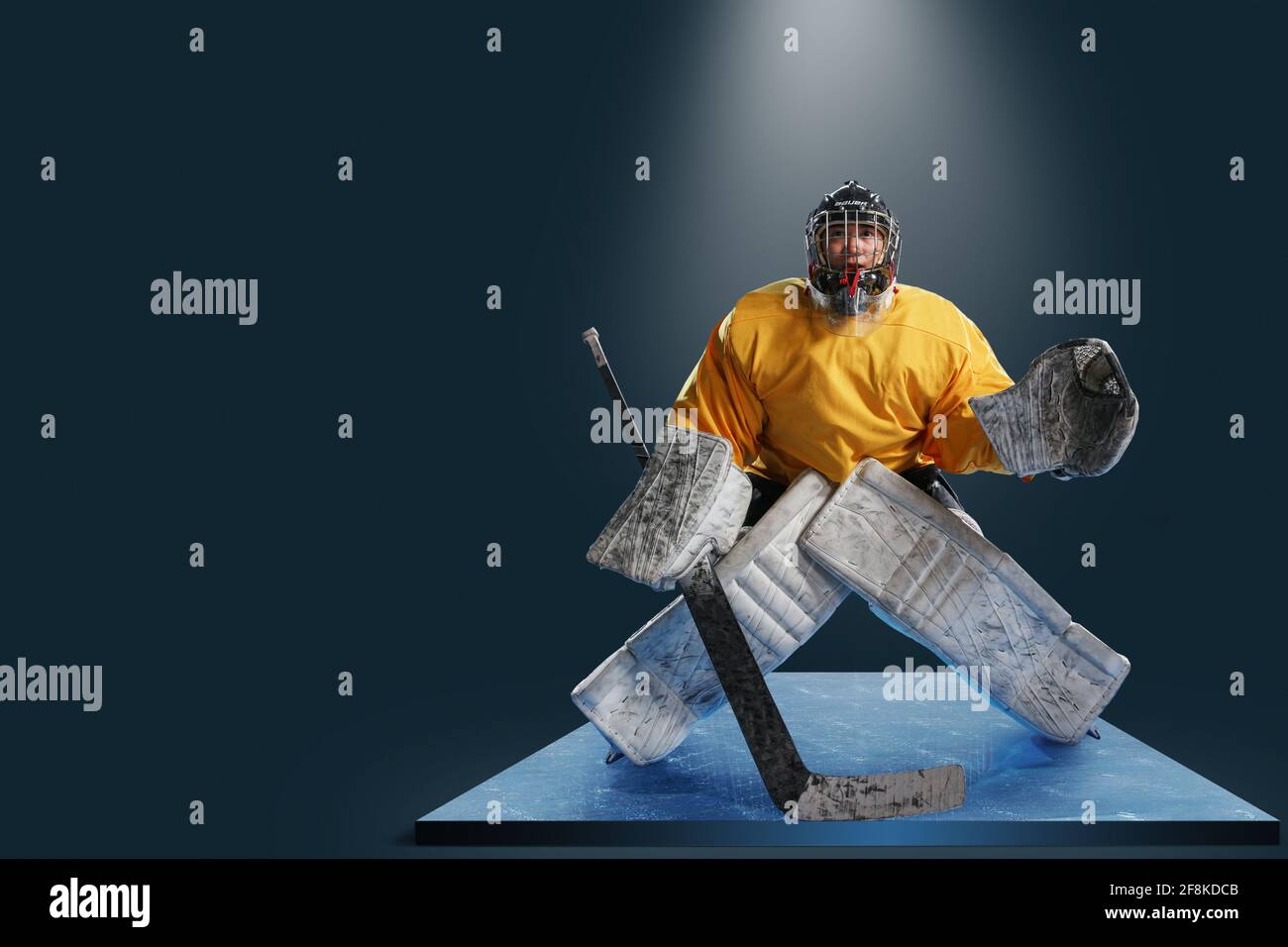 Hockey Goalie Padding High Resolution Stock Photography and Images - Alamy