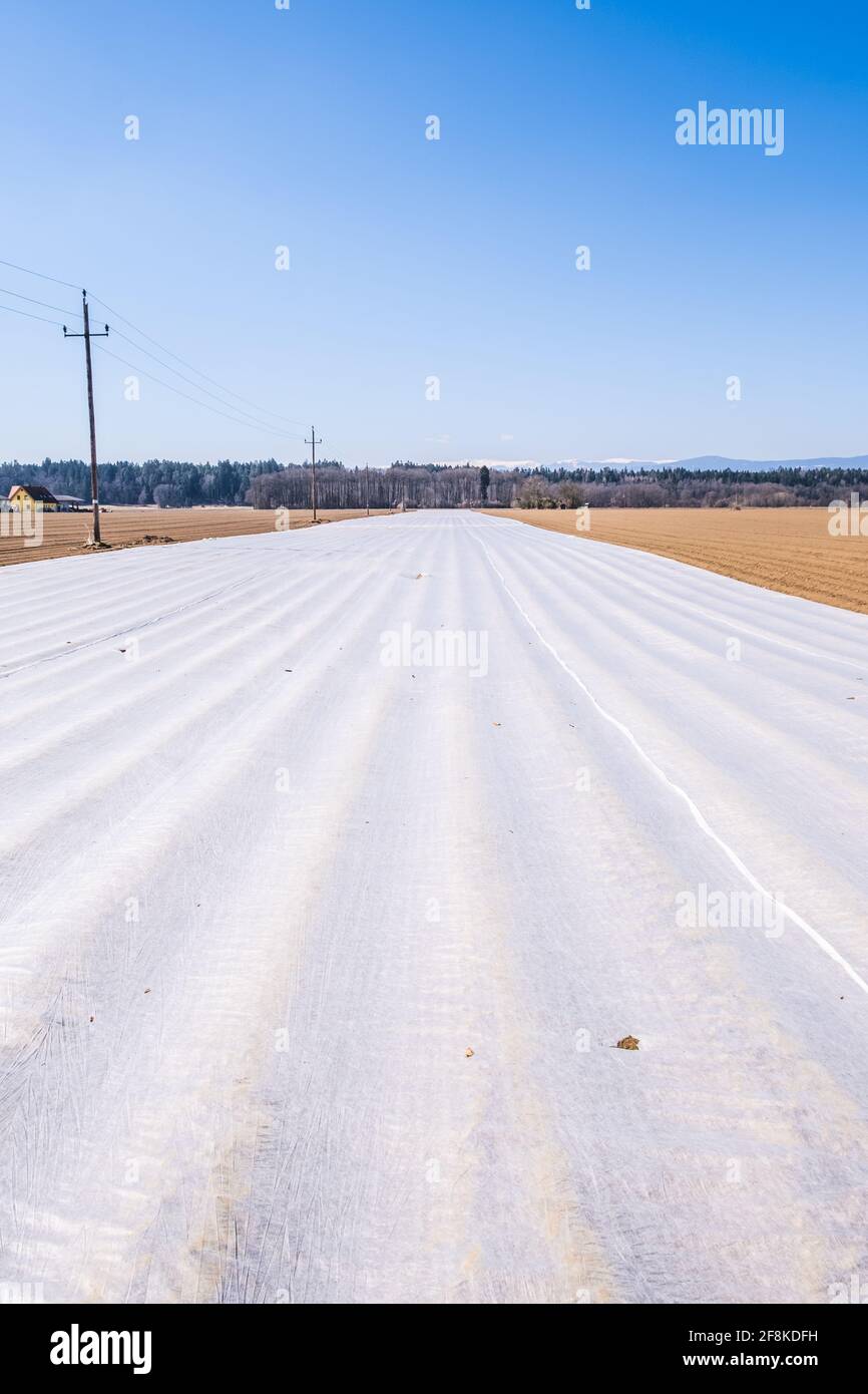 Furrows row pattern in a plowed field prepared for planting crops in ...