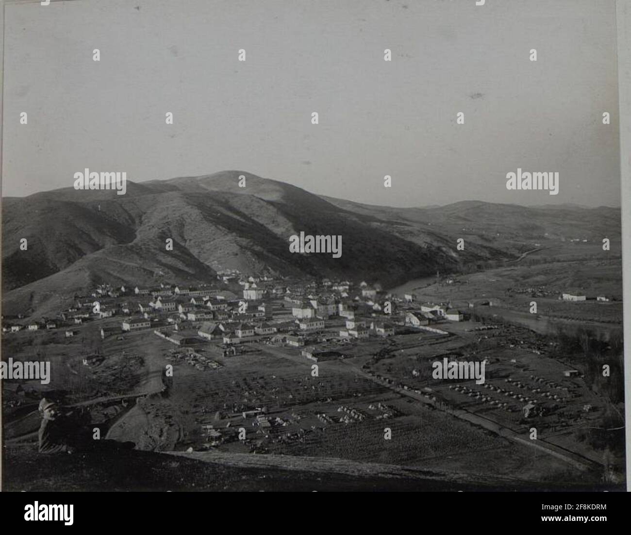 Raschka hi-res stock photography and images - Alamy