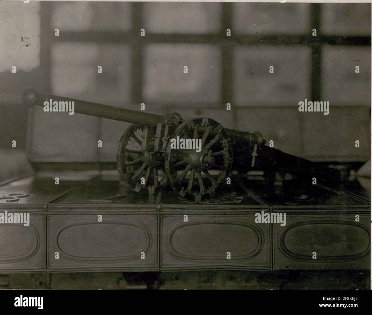 Snake identification hi-res stock photography and images - Alamy