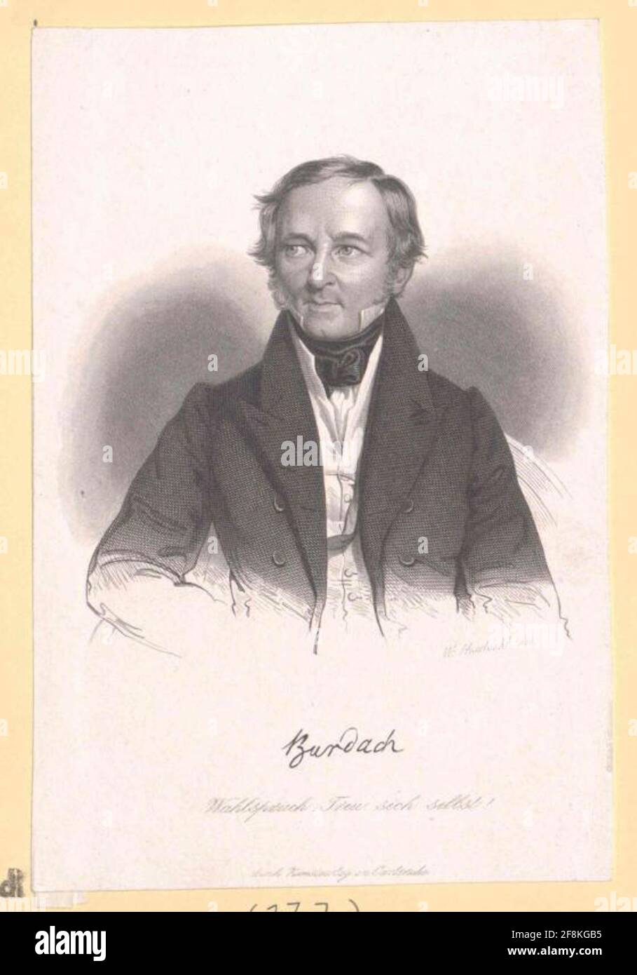 Burdach hi-res stock photography and images - Alamy