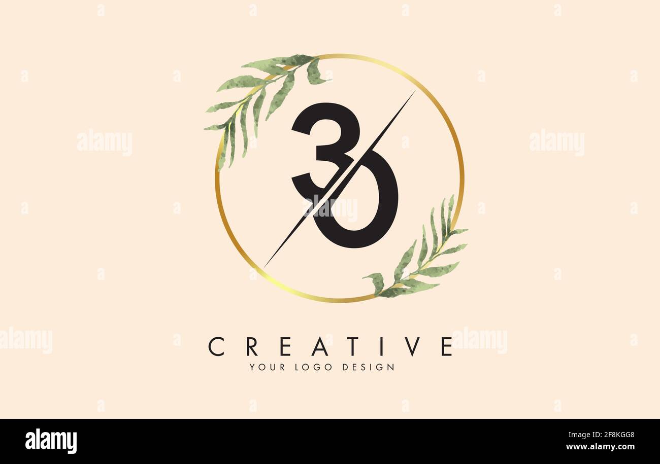 Numbers 30 3 0 logo design with golden circles and green leaves on ...