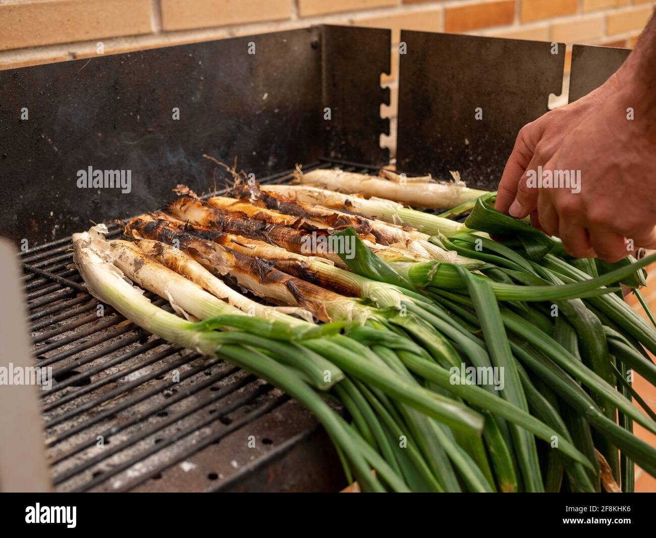 Shot of grilling spring onion barbecue, calcots, typical Spanish ...