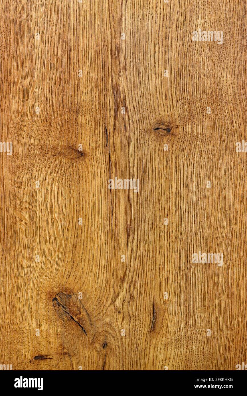 A beautiful and expressive grain of oak wood in the form of a smooth ...