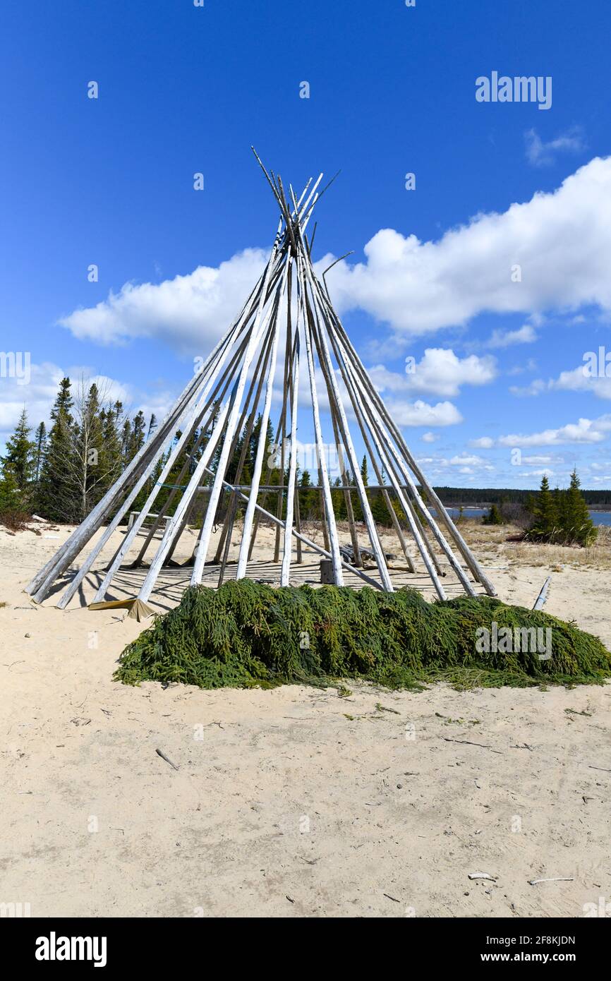Construction of a teepee, Northern Quebec, Canada Stock Photo - Alamy