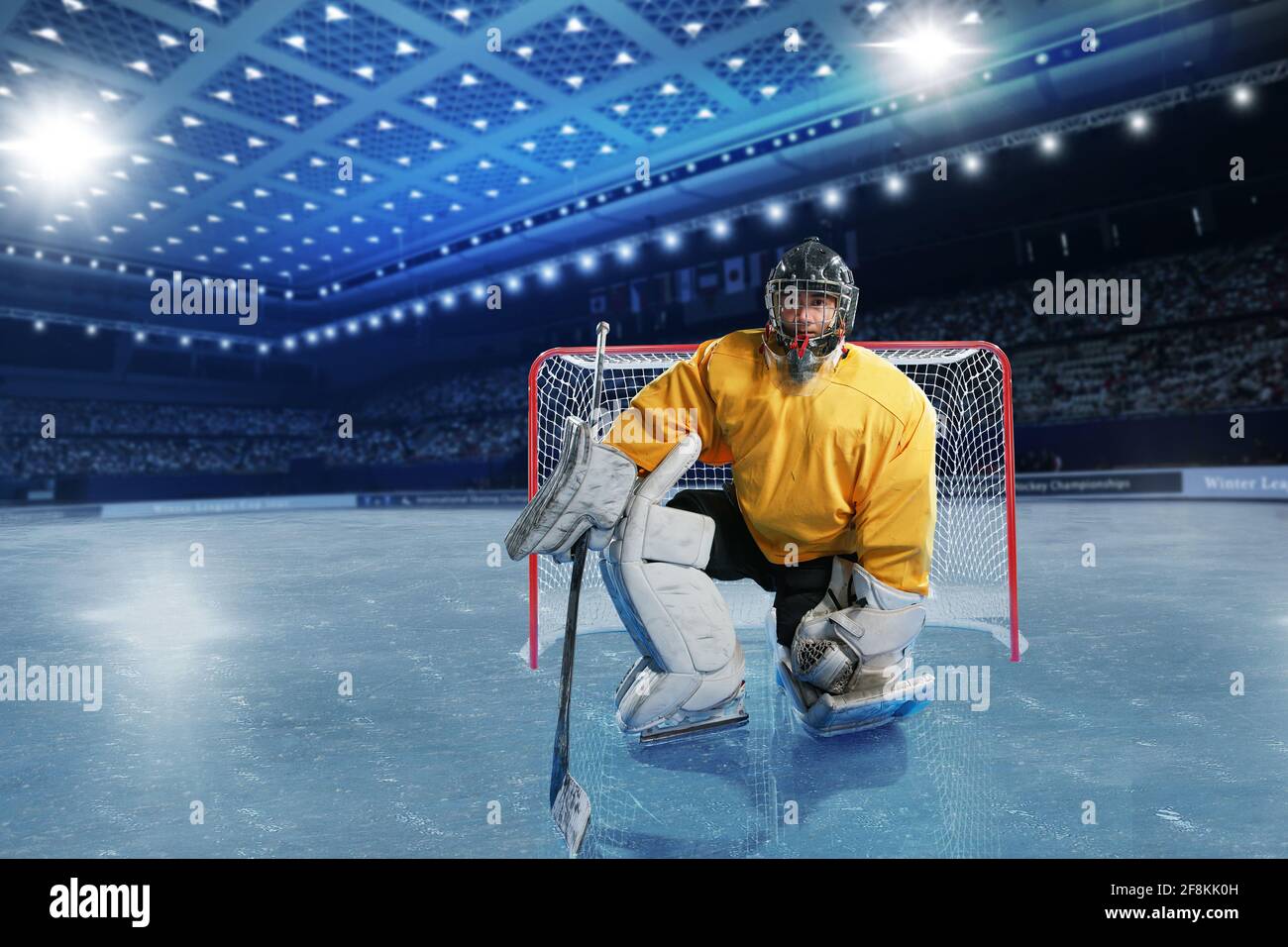 Hockey Goalie Padding High Resolution Stock Photography and Images - Alamy