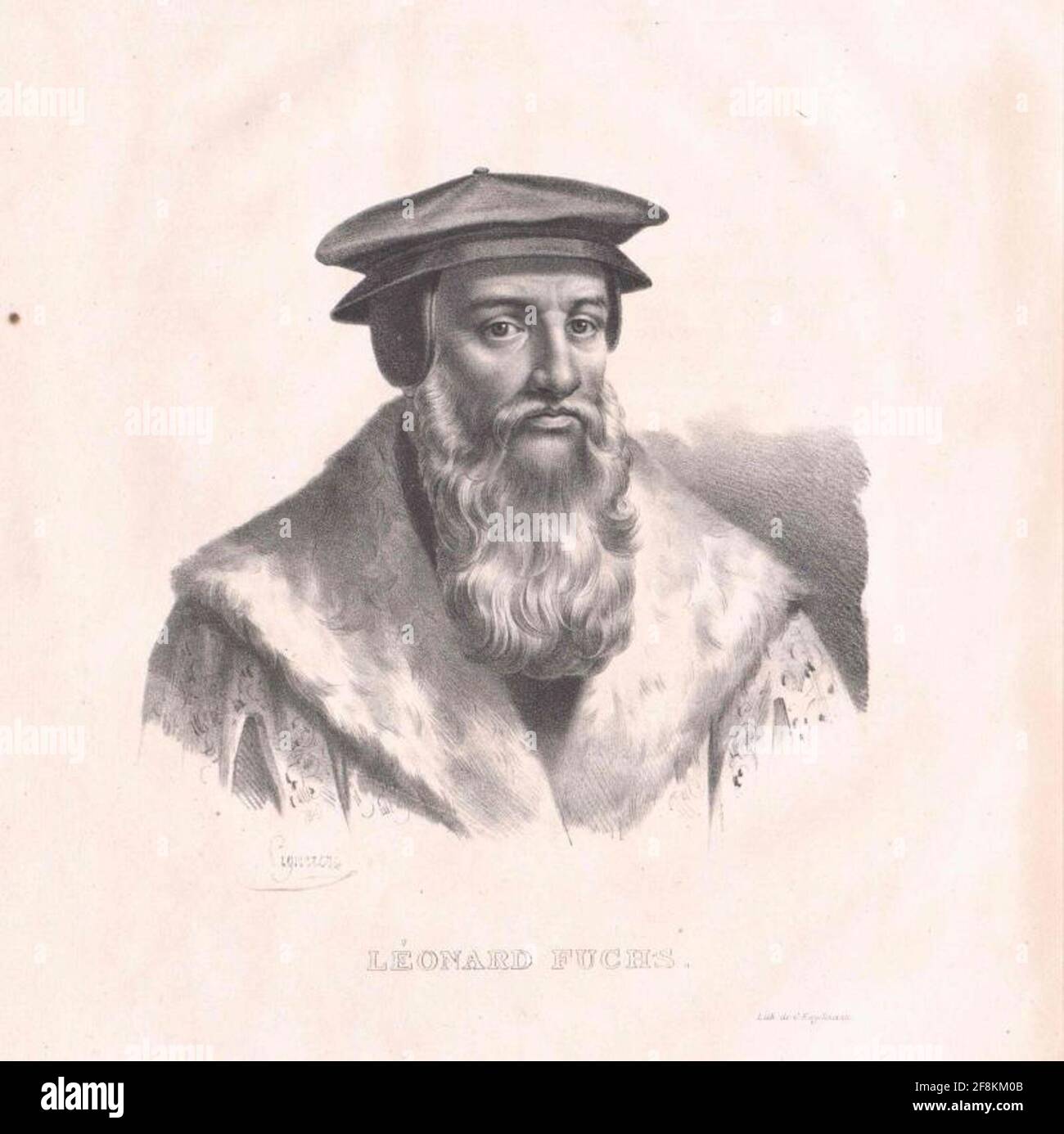 Fuchs leonhard hi-res stock photography and images - Alamy