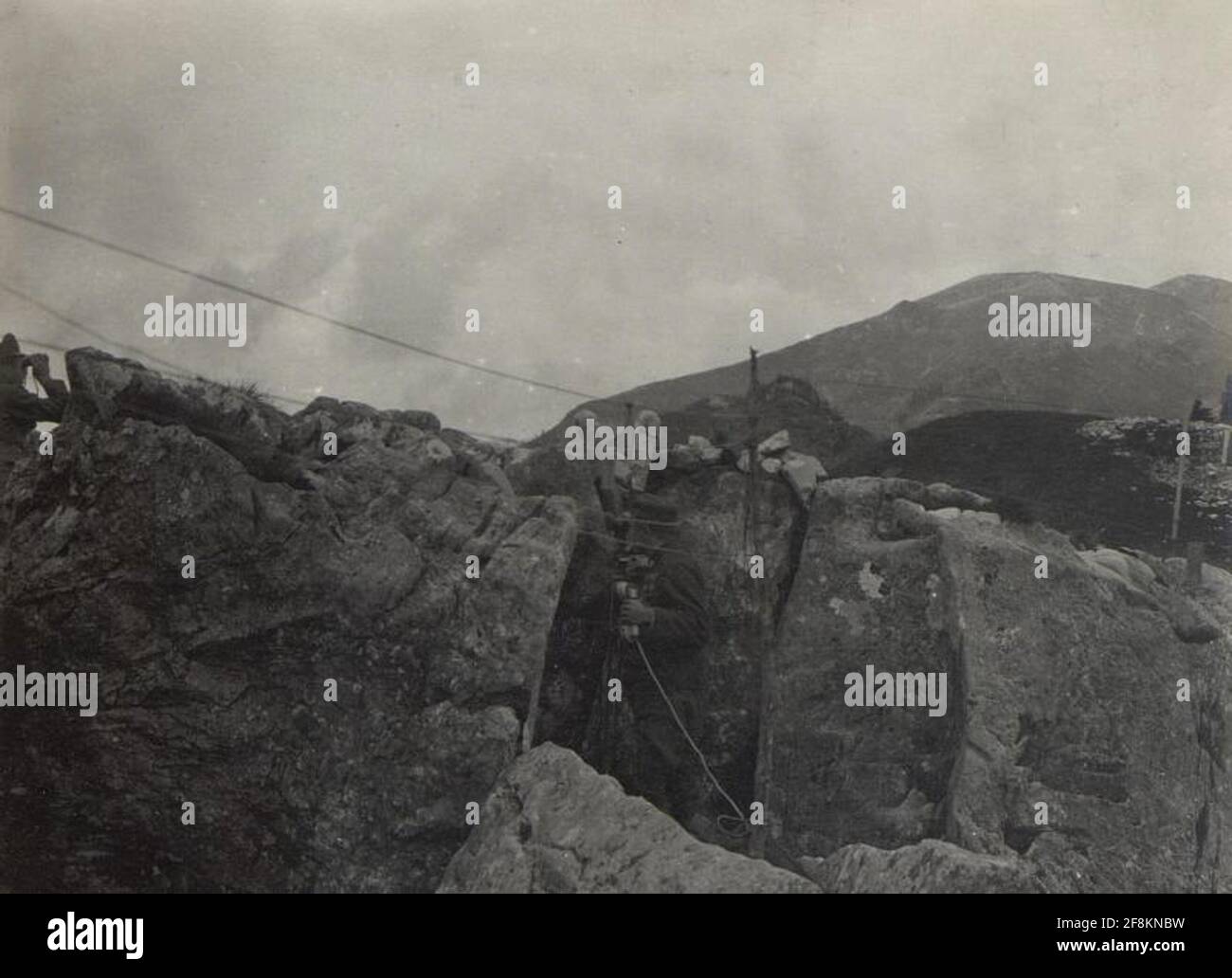 Velli hi-res stock photography and images - Alamy