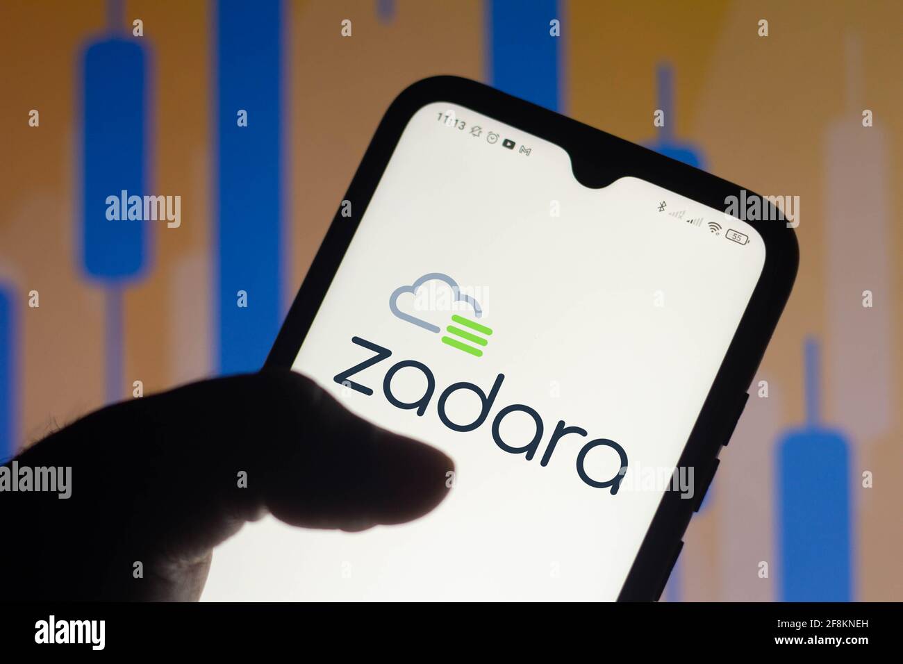 Brazil. 14th Apr, 2021. In this photo illustration, the Zadara logo ...