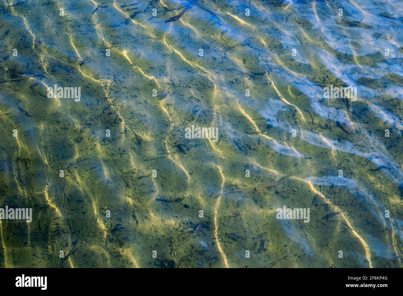 Overhead shot of sunlight in a river Stock Photo - Alamy