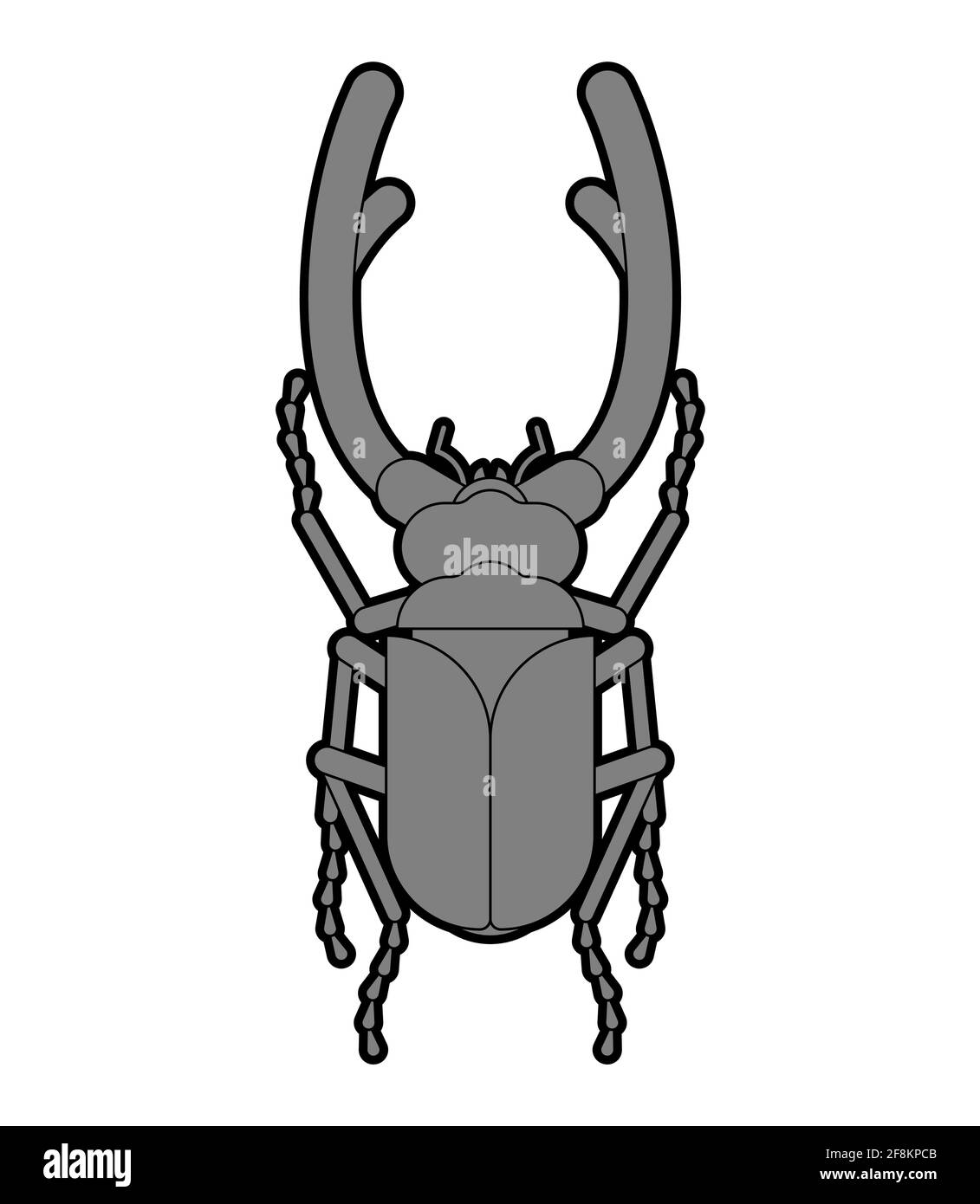Stag beetle isolated. Beetle with large mandibles Stock Vector Image ...
