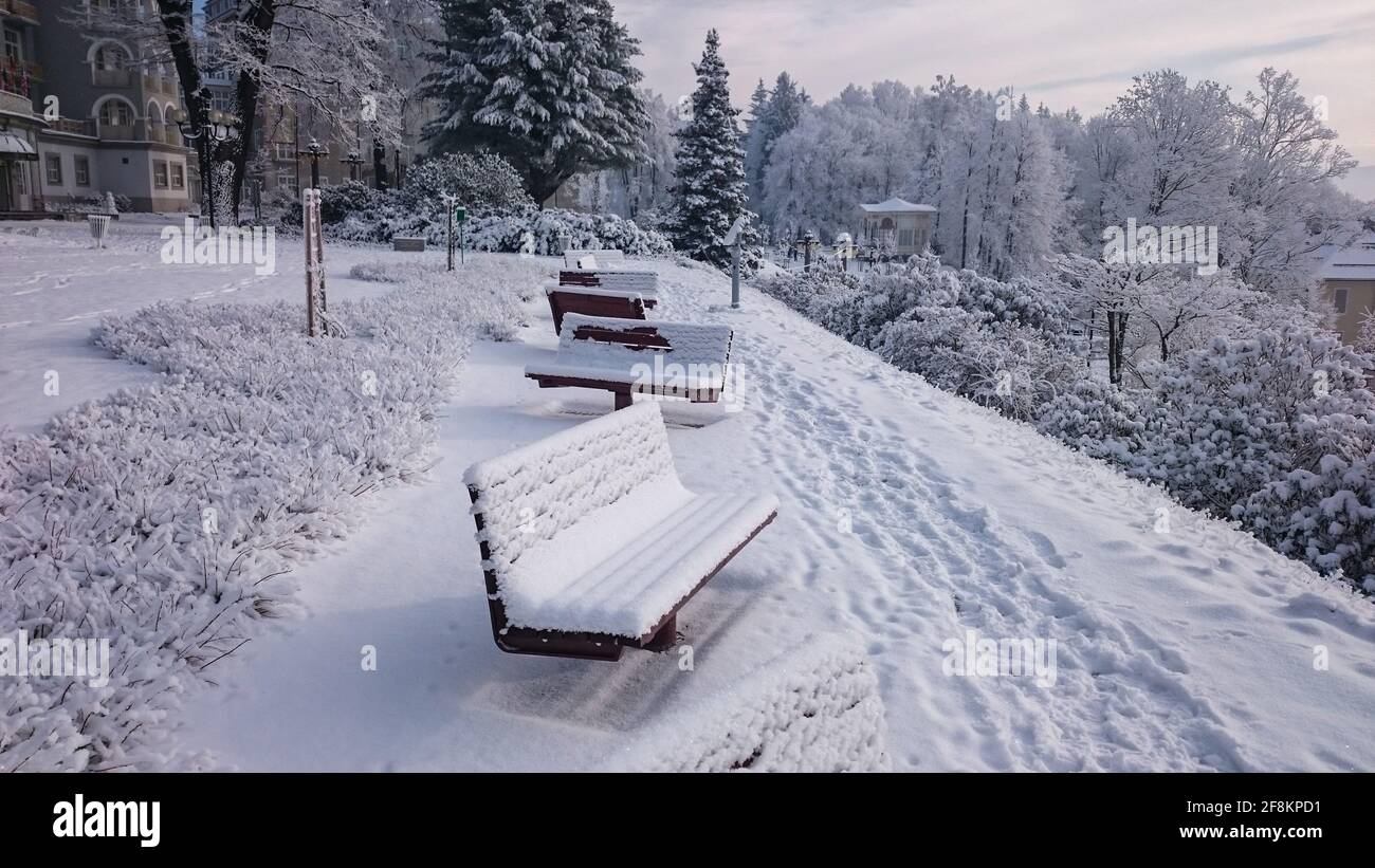 Benches trees in mountains covered with fresh snow Stock Photo - Alamy
