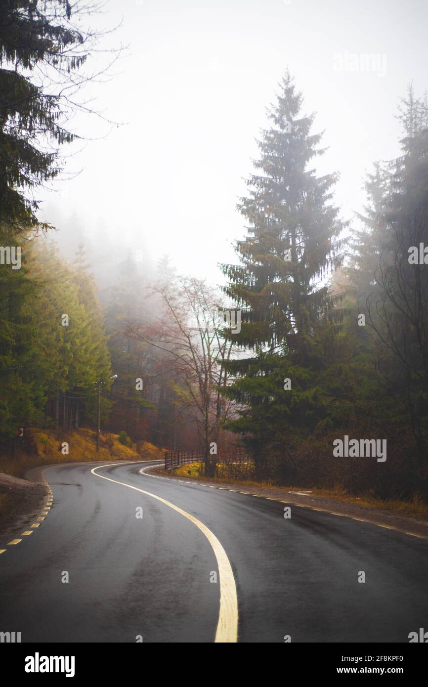 Foggy forest road Stock Photo - Alamy