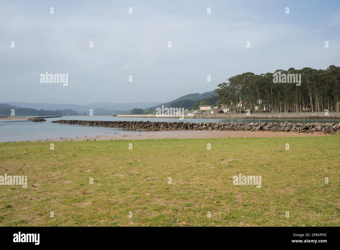 Eucaliptus walk at rodiles beach hi-res stock photography and images ...
