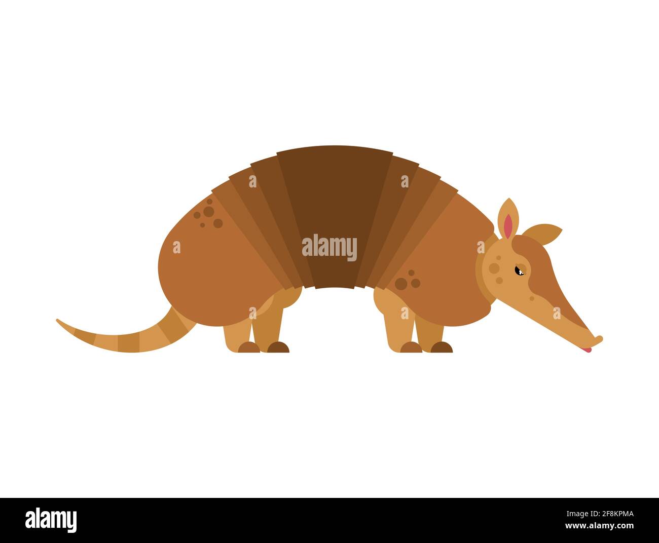 Armadillo isolated. Animal armor-clad vector illustration Stock Vector ...