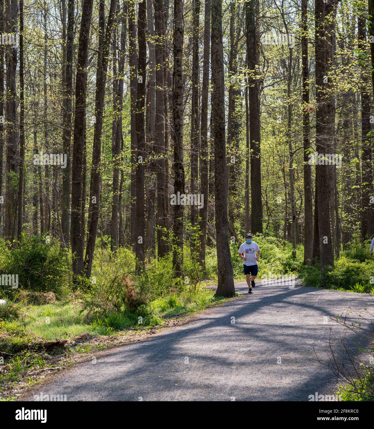 Alexandria, VA, USA -- April 8, 2021. A vertical photo of a jogger ...