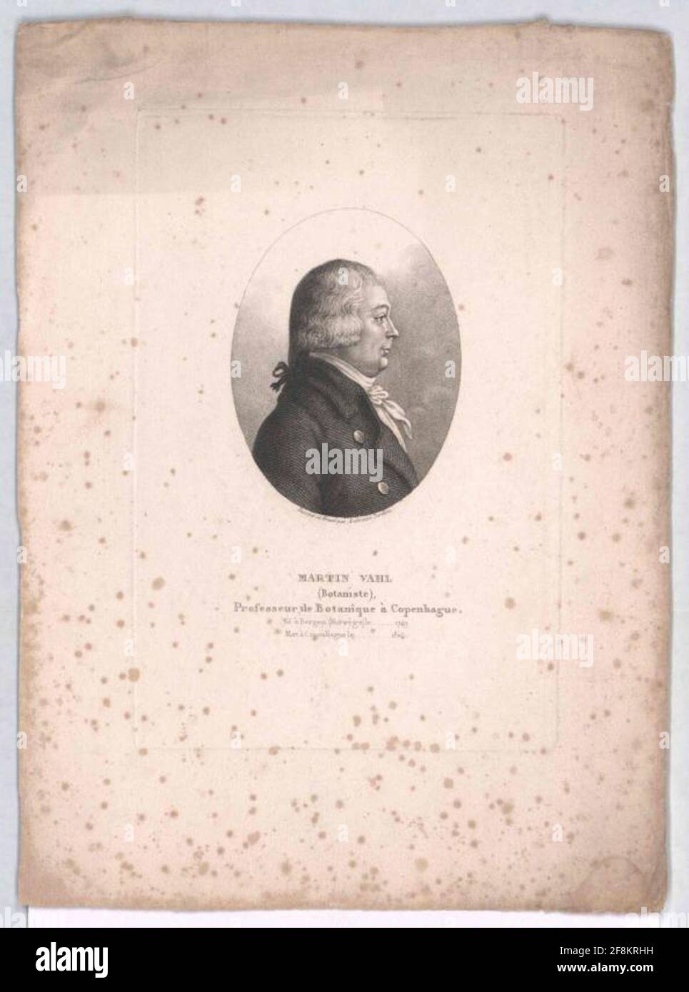 Vahl hi-res stock photography and images - Alamy