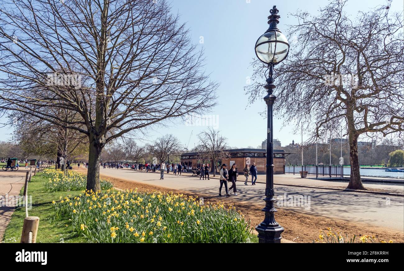 London daffodils spring sunshine hi-res stock photography and images ...