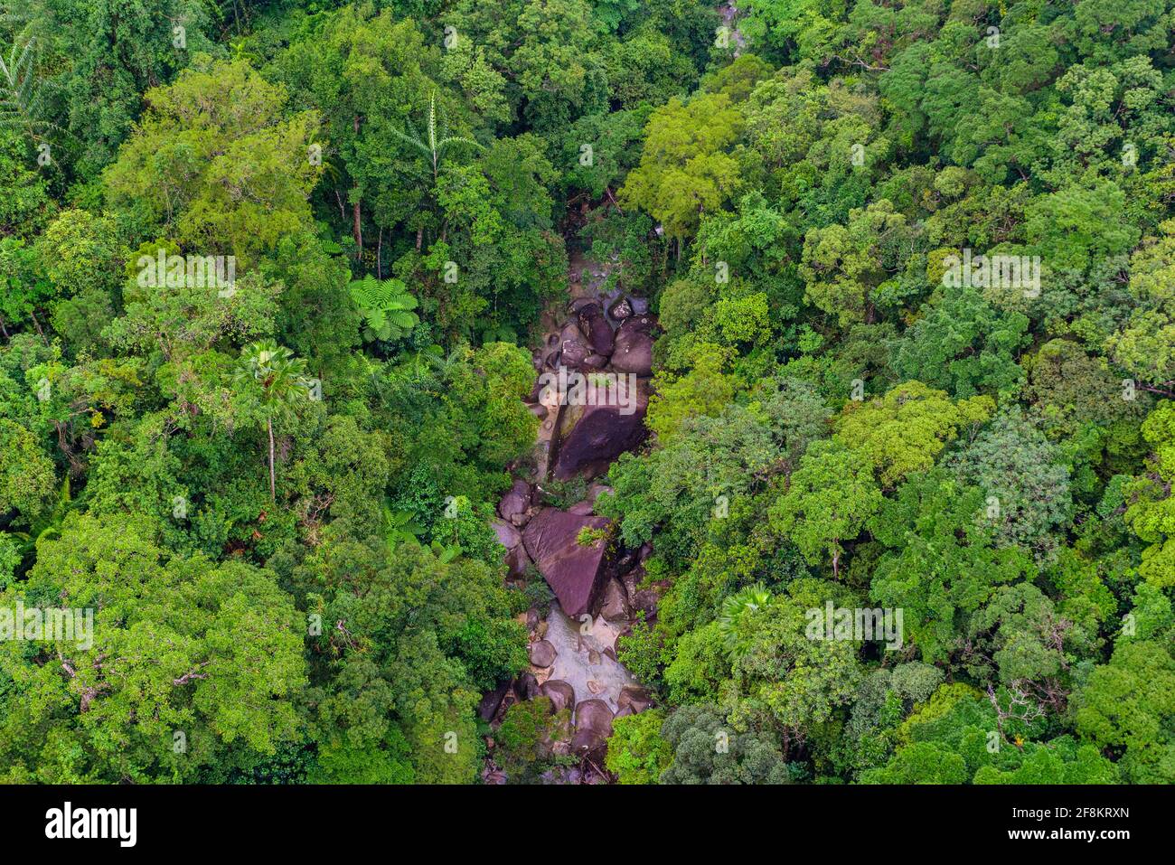 Aerial top view of tropical forest - beautiful tranquil scenery in ...
