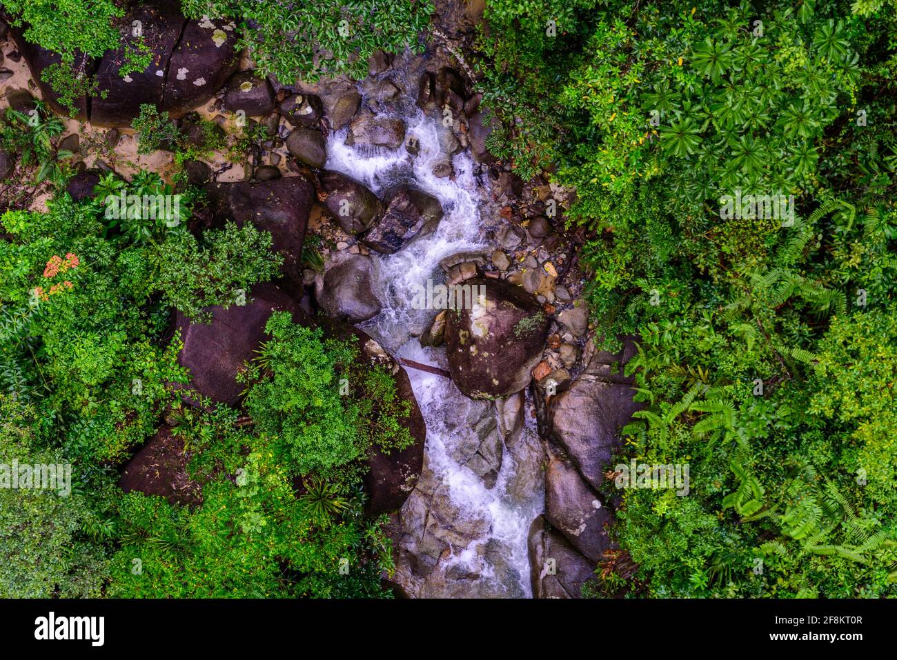 Aerial top view of tropical forest - beautiful tranquil scenery in ...