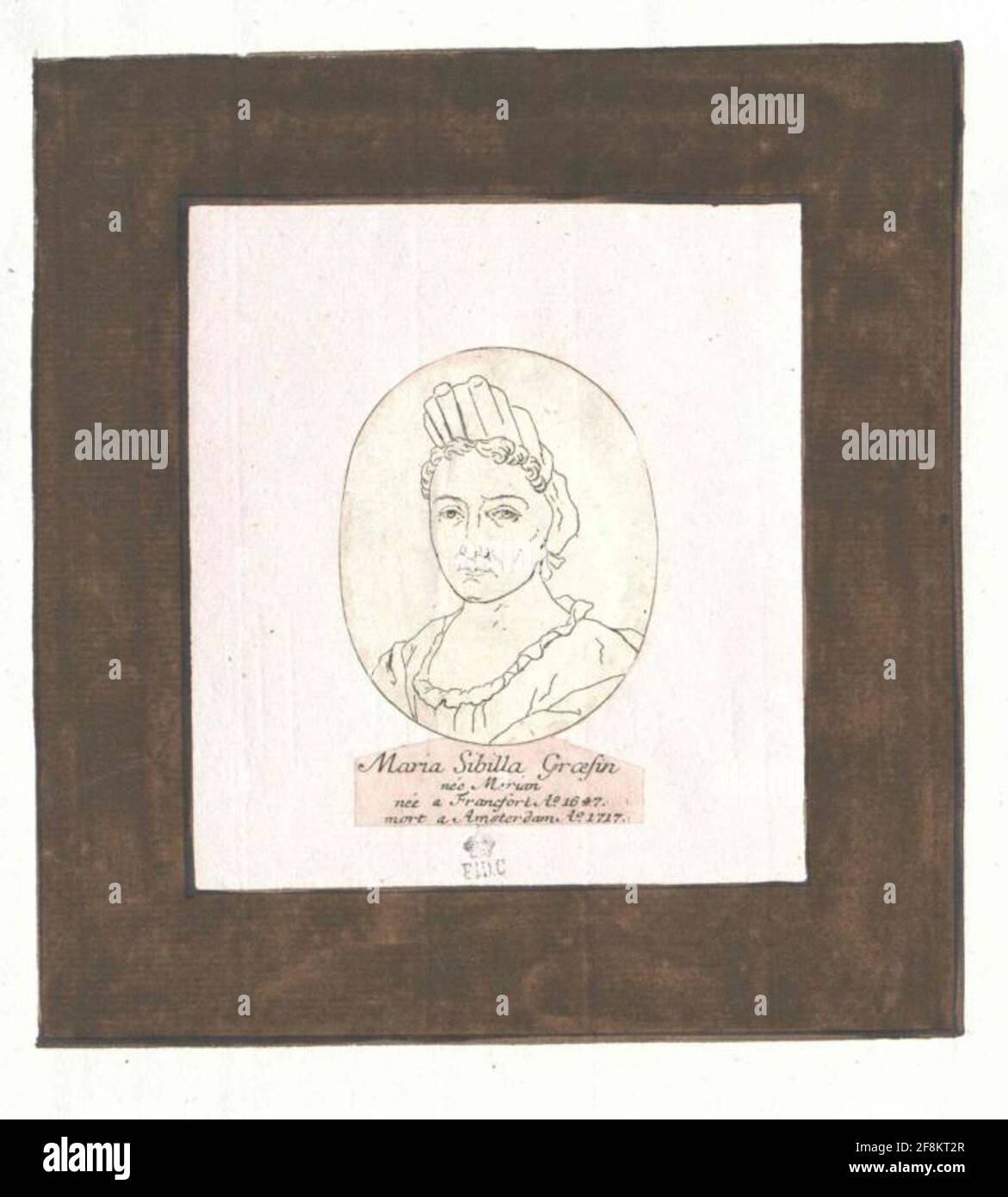 Maria sibylla merian maria sibylla merian hi-res stock photography and ...