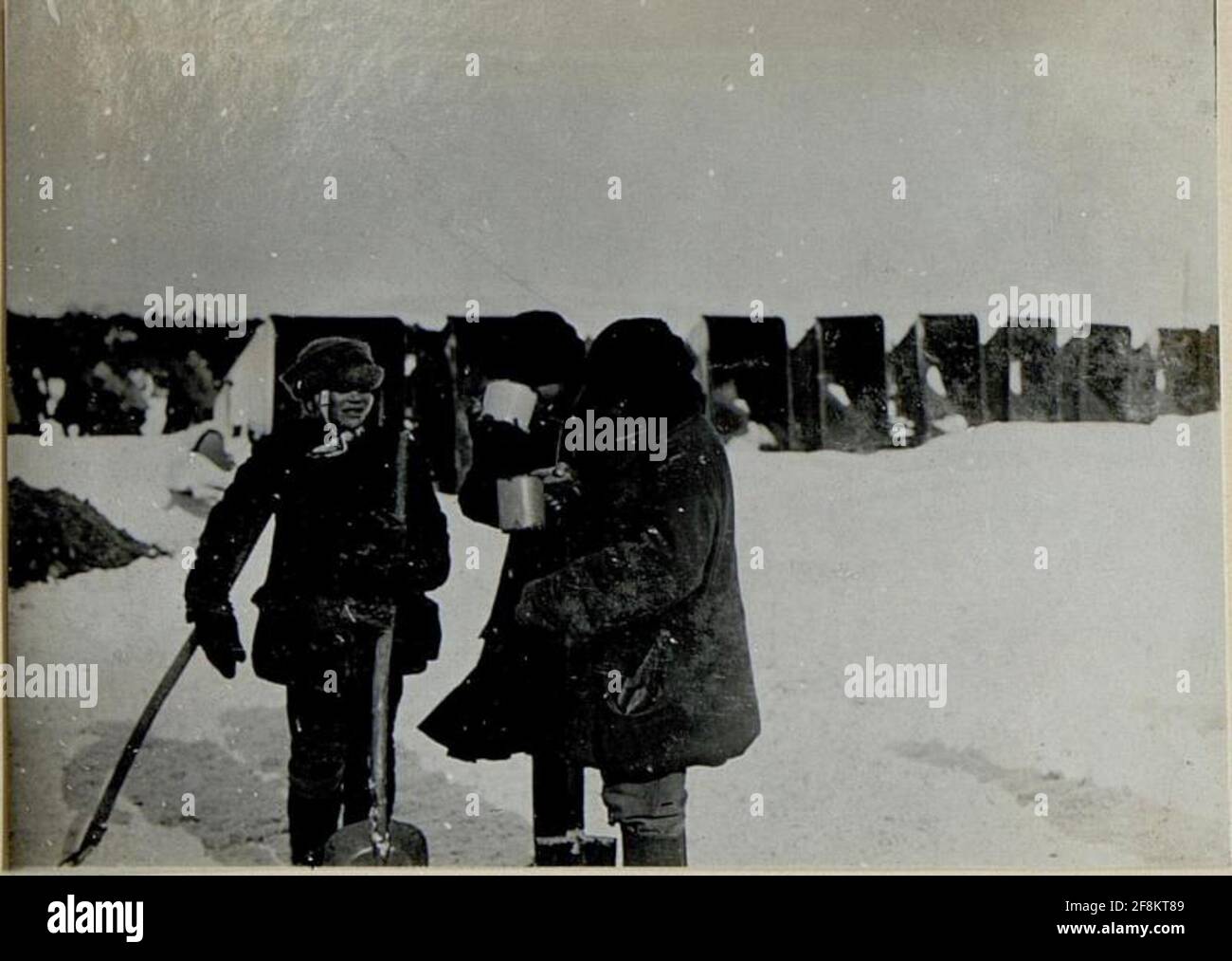 Blend natural hi-res stock photography and images - Alamy