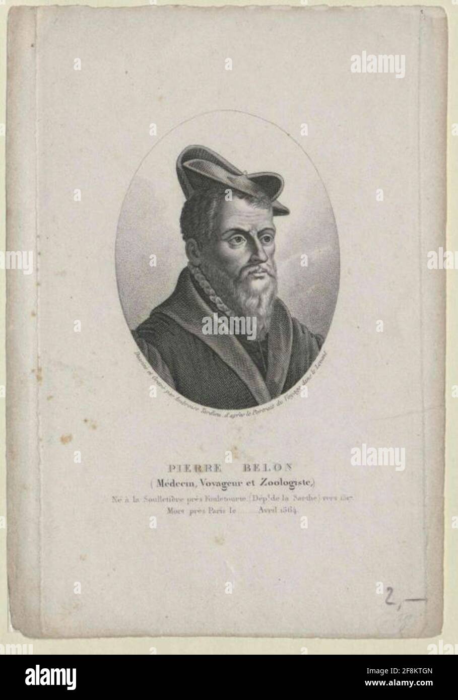 Pierre belon hi-res stock photography and images - Alamy