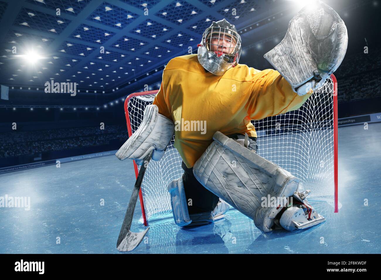 Hockey Goalie Padding High Resolution Stock Photography and Images - Alamy