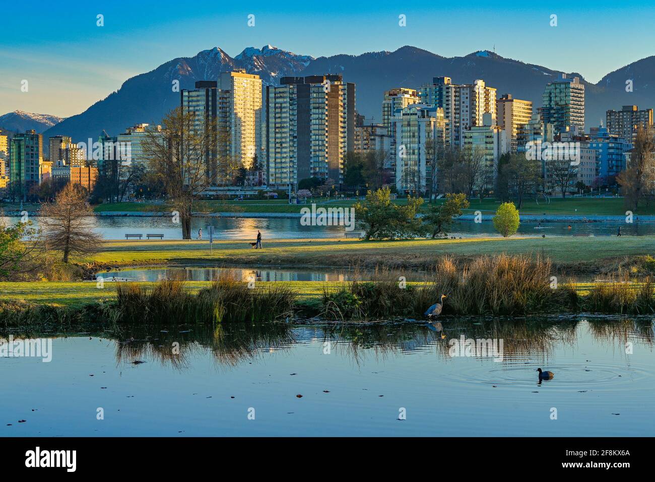 Pond, Vanier Park, Vancouver, British Columbia, Canada Stock Photo - Alamy