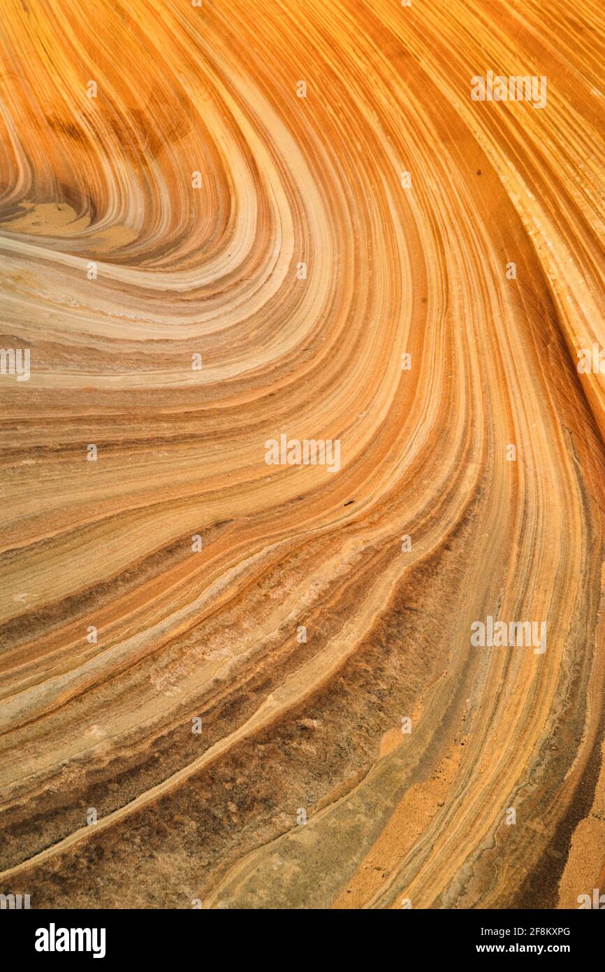 Striated patterns hi-res stock photography and images - Alamy