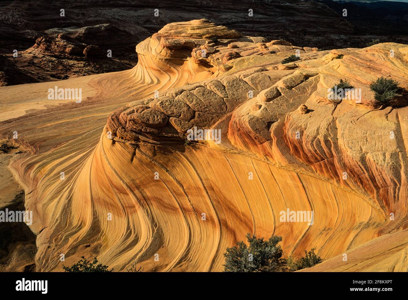 A swirling sandstone formation called the Second Wave at sunset in ...