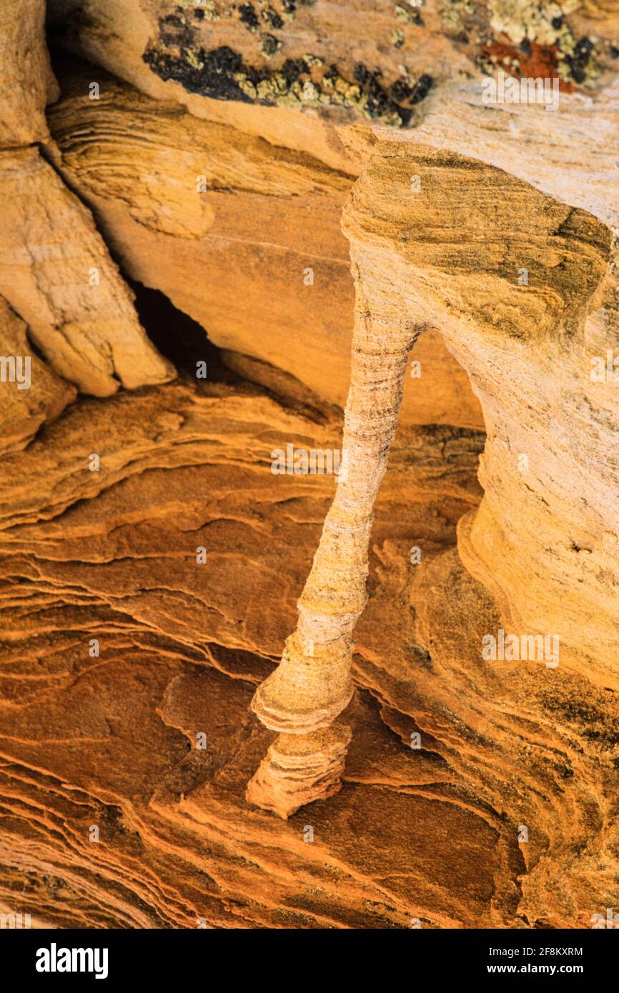 Micro arch hi-res stock photography and images - Alamy