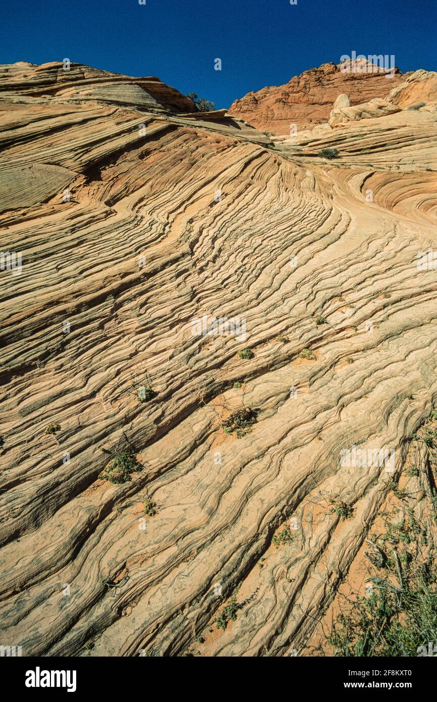 Striated patterns in the Navajo Sandstone of North Coyote Buttes, Paria ...