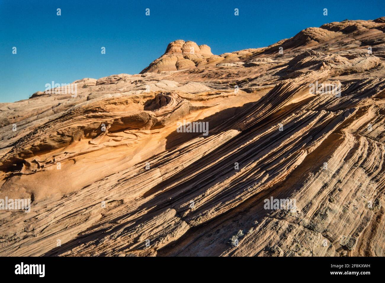 Striated patterns in the Navajo Sandstone of North Coyote Buttes, Paria ...