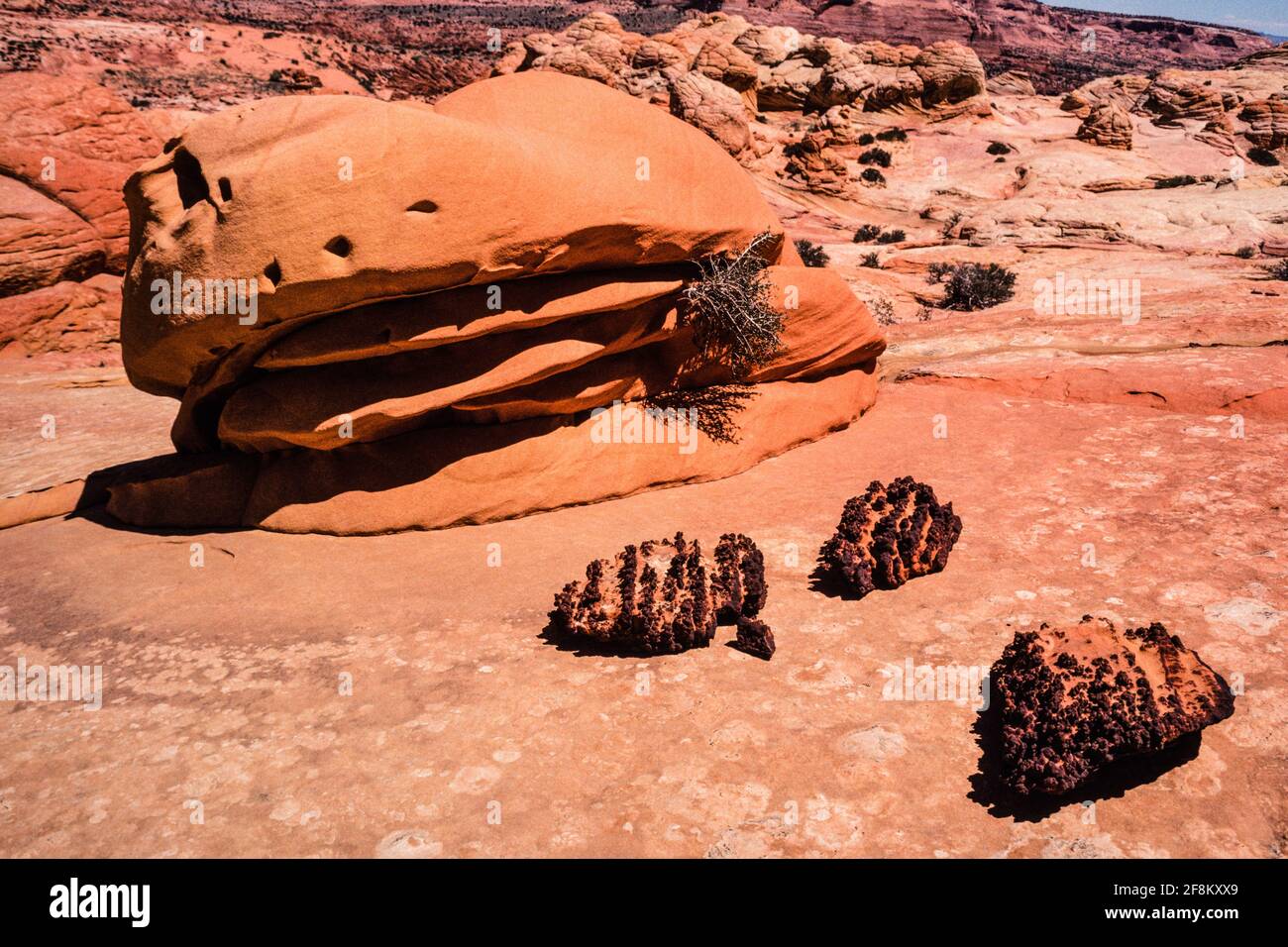 Horizontal image striated rock formation hi-res stock photography and ...