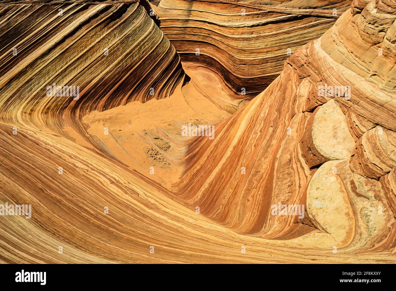 The Wave is a striated sandstone formation in North Coyote Buttes ...