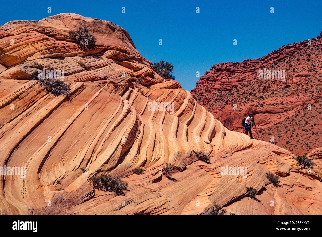 A photographer in North Coyote Buttes, Paria Canyon-Vermilion Cliffs ... A photographer in North Coyote Buttes, Paria Canyon-Vermilion Cliffs ...
