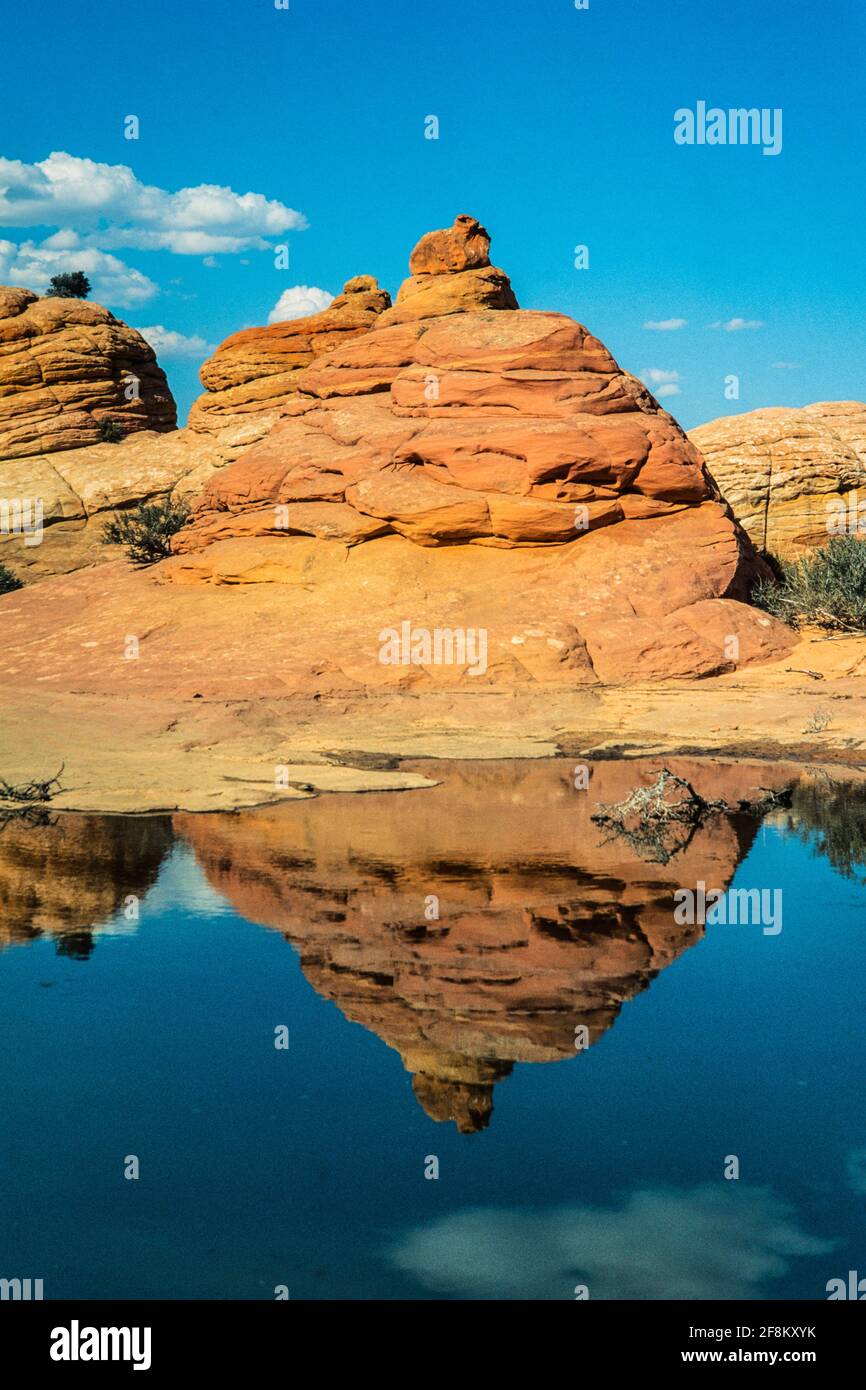 Ephemeral pools hi-res stock photography and images - Alamy