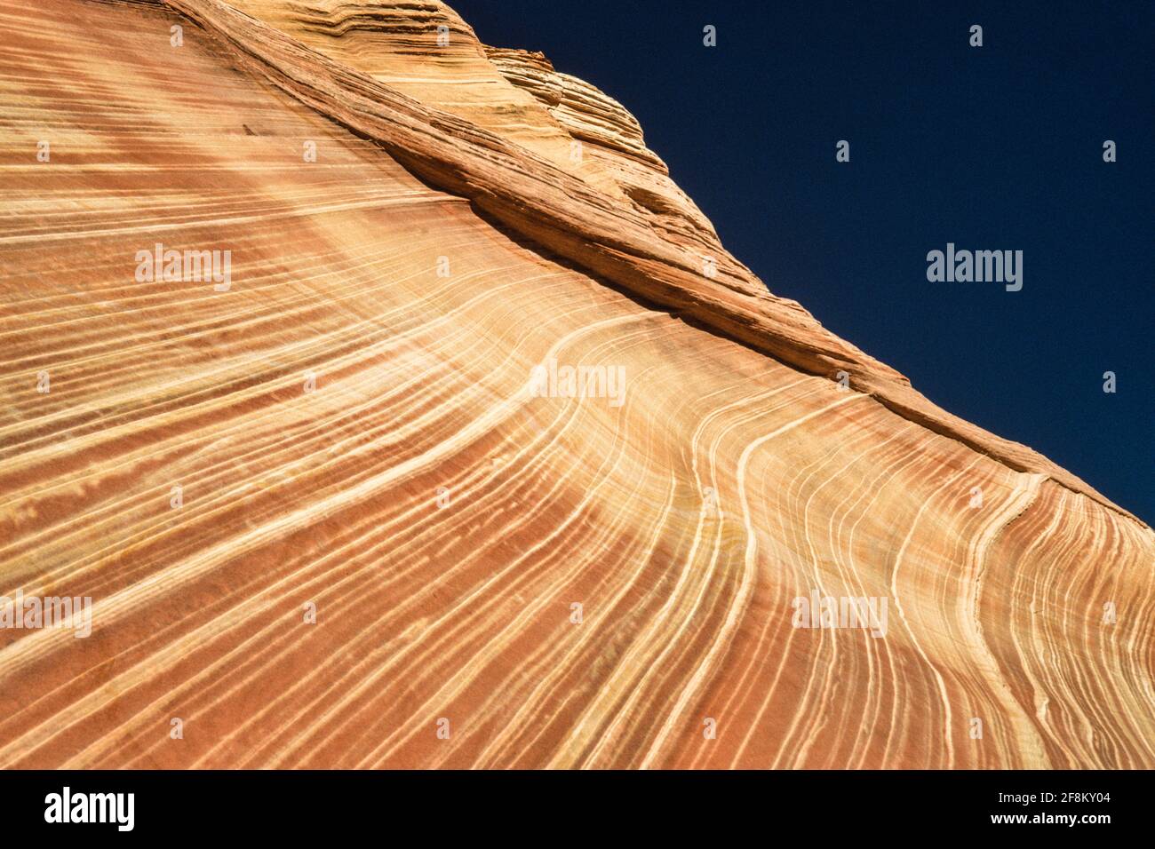 Striated patterns in the Navajo Sandstone of North Coyote Buttes, Paria ...