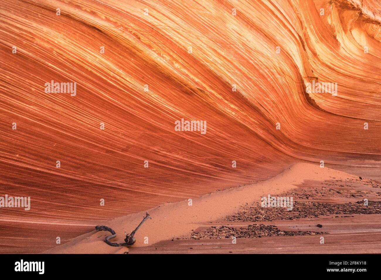 Striated patterns in the Navajo Sandstone of North Coyote Buttes, Paria ...