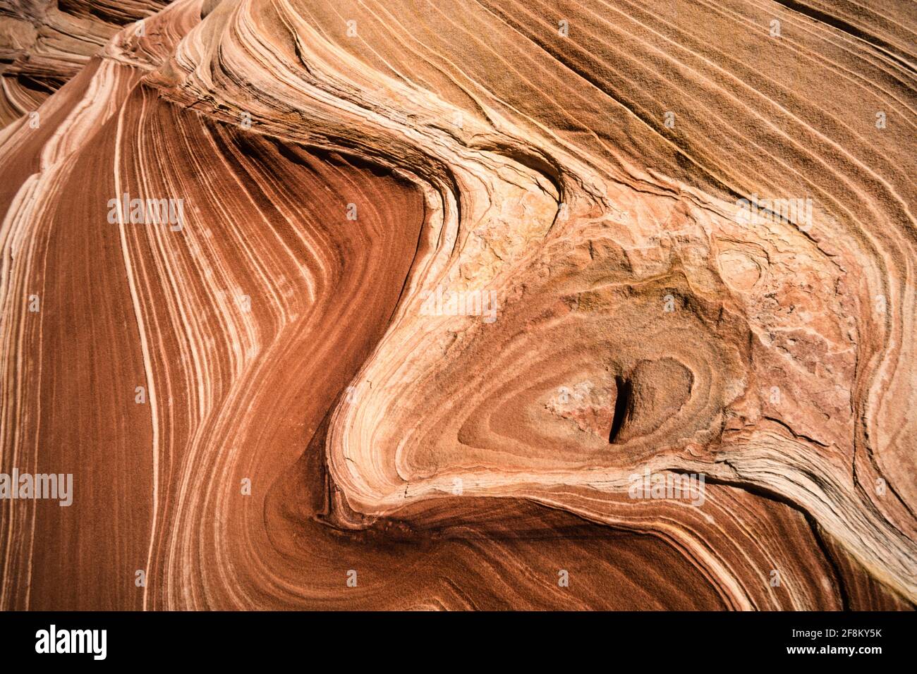 Soft sediment deformation hi-res stock photography and images - Alamy