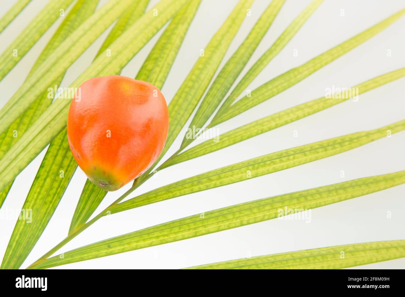 Chontaduro delicious tropical fruit - Bactris gasipaes Stock Photo - Alamy